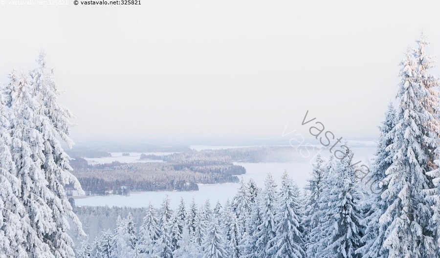 Kuva: Pakkaspäivä - maisema näkymä talvi talvinen talvella keskitalvi ...