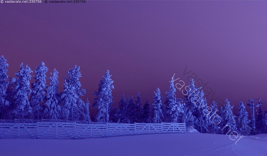 Kuva: Metsänreunassa - talvi talvinen talviaika keskitalvi joulukuu ...