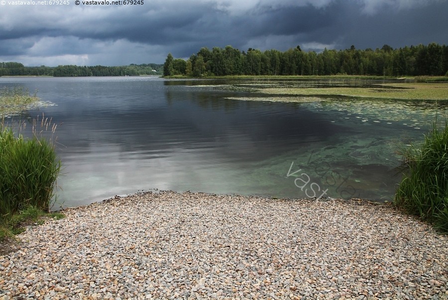 Kuva: Vanajaveden rannalla - ranta veneranta kasvusto vihreä tyyni ...