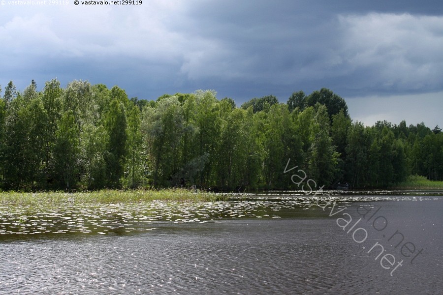 Kuva: Ennen sadetta - pilvet järvi vesi metsä koivut puut kaislikko ...