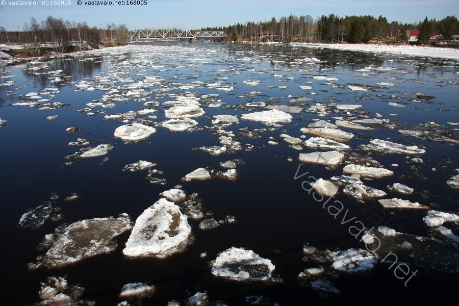Kuva: Jäiden lähtö Simojoesta - Pohjanmaa Simo kunta joki joet Simojoki ...
