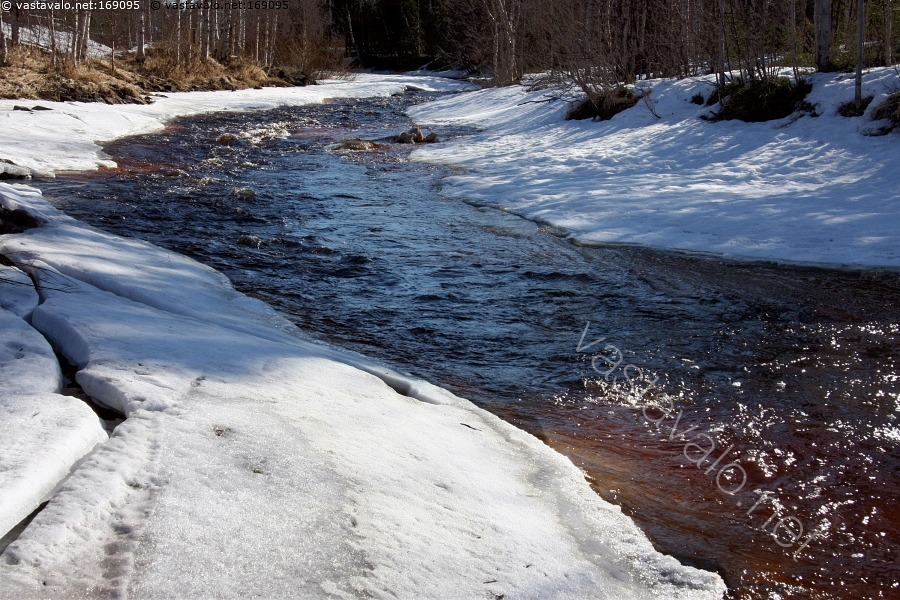 Kuva: Metsäpuro huhtikuussa - kevät vuodenajat Lappi puro metsäpuro ...