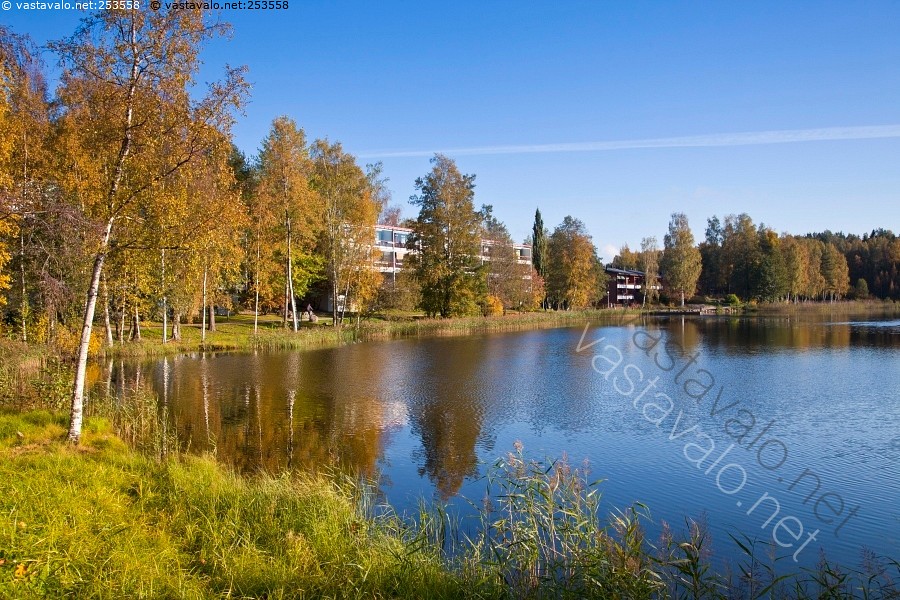 Kuva: Ranta-asumista - rantakoivu rantakoivut puistokäytävä kerrostalo ...