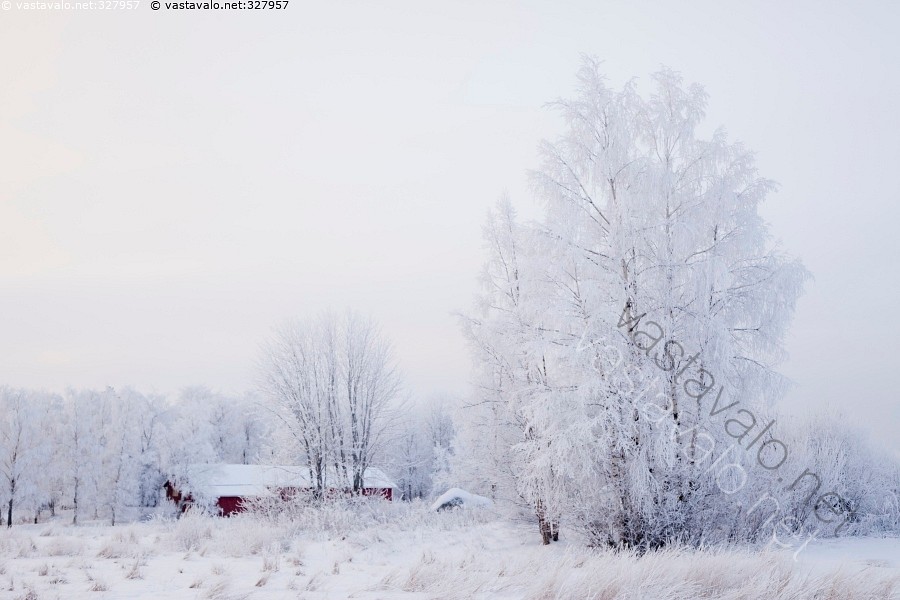 Kuva: Talvimaisema - luminen kuurainen maisema jouluinen tunnelma kuura ...