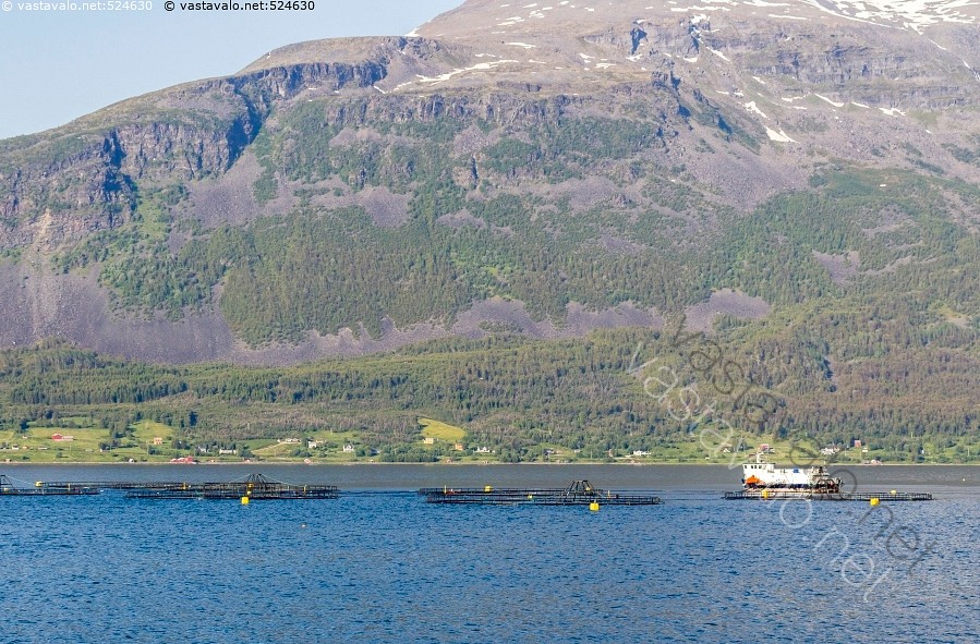 Kuva: Kalankasvatusta - Norja Pohjoiskalotti allas alus asuminen ...