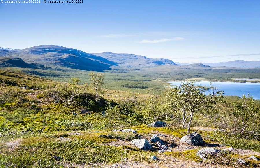 Kuva: Lapin maisema - Lappi Mallan luonnonpuisto heinäkuu järvi kesä ...
