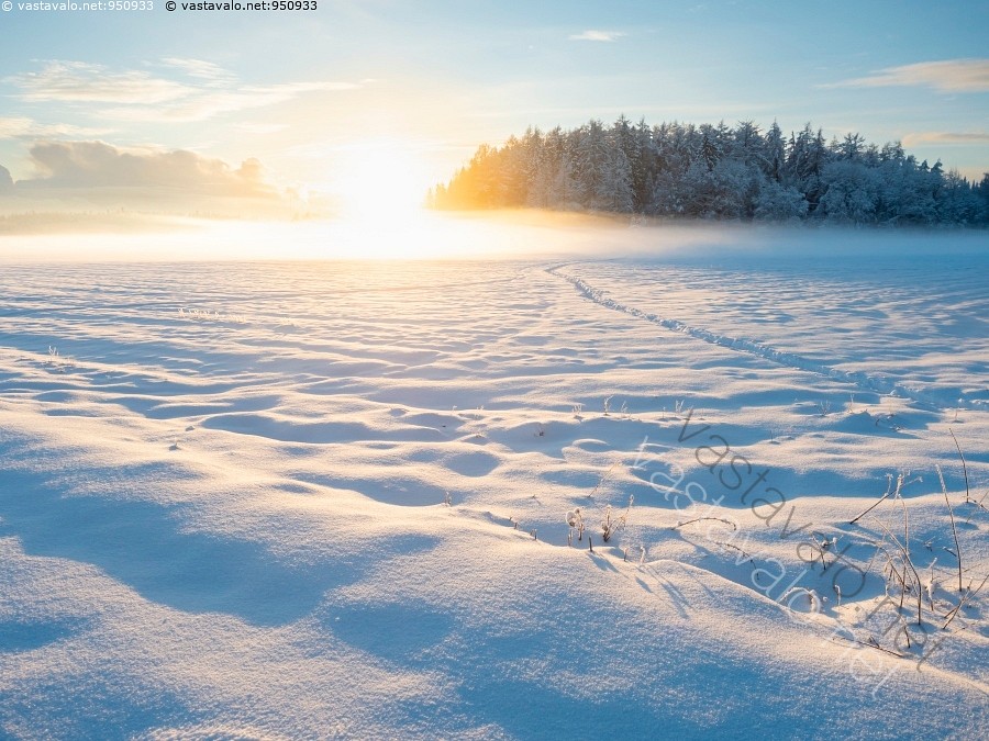 Kuva: Sumua pellolla - auringonlasku aurinko aurinkoinen talvi-ilta ...