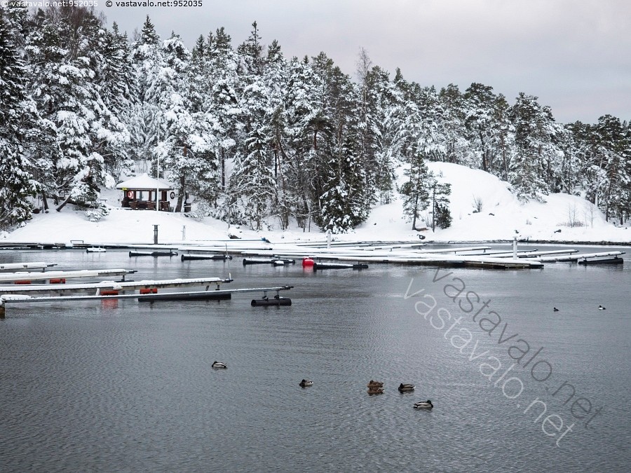 Kuva: Joulukuun rantamaisema - Aurinkolahti Itämeri Suomenlahti Uutela ...