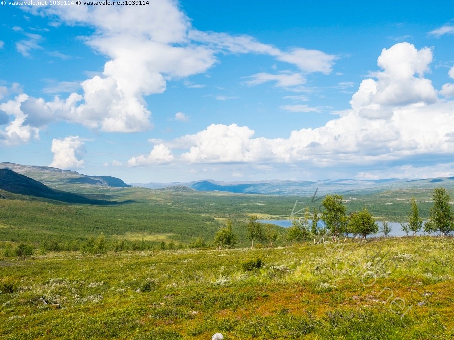 Kuva: Pohjoisen maisema - Käsivarsi Lappi Mallan luonnonpuisto ...