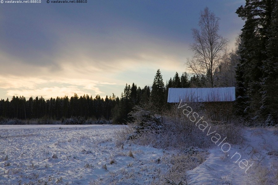 Kuva: Lyhyt talvipäivä - talvi talvipäivä lumi luminen lato sininen ...