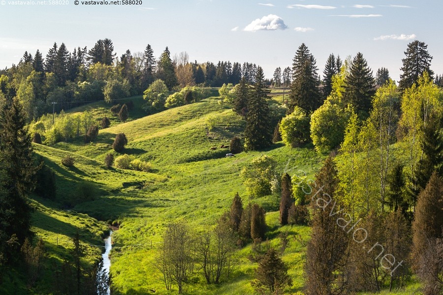 Kuva: Häntälän notkot - Somero Rekijoki Häntälän notkot raviini ...