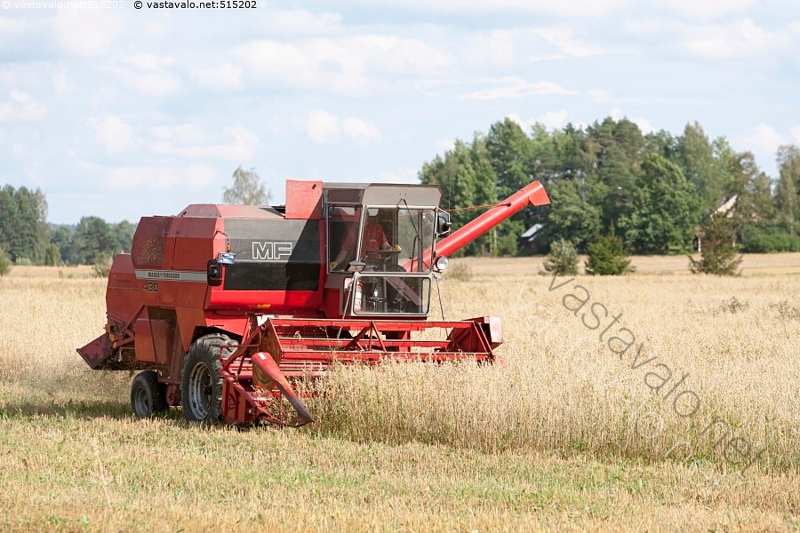 Kuva: Leikkuupuimuri pellolla - leikkuupuimuri puimuri pelto viljapelto ...