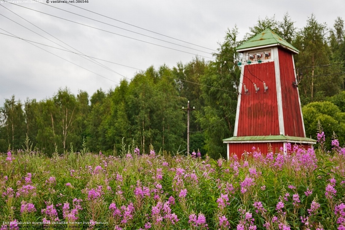 Kuva: Horsmat ja muuntaja - muuntajarakennus punainen avolinja ...