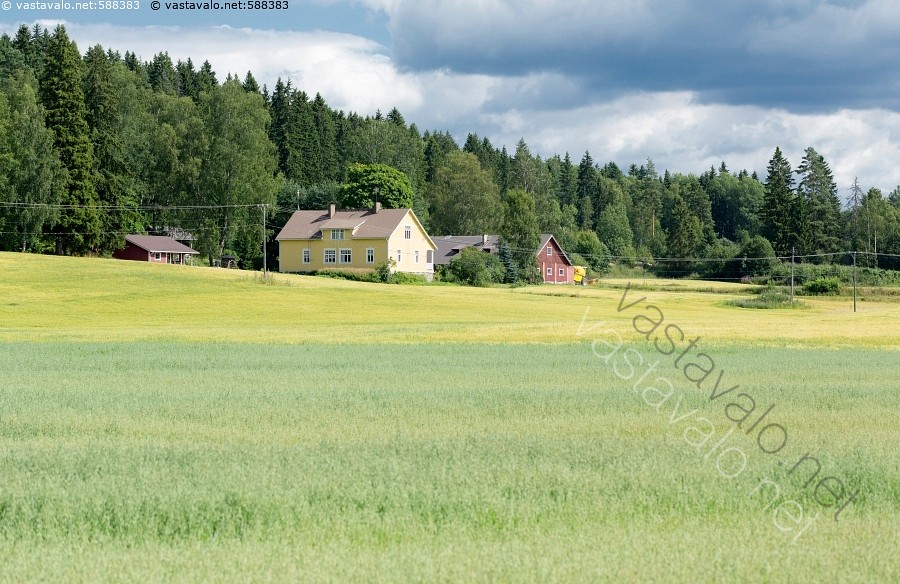 Kuva: Maatila pellon reunassa - maatalo maatila viljelytila maatalous ...