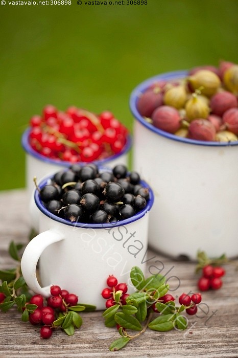 Galleria: Kuvia marjoista