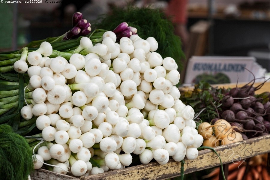 Kuva: Sipuleita myytävänä - sipuli sipulit sipuleita nauris nauriit ...
