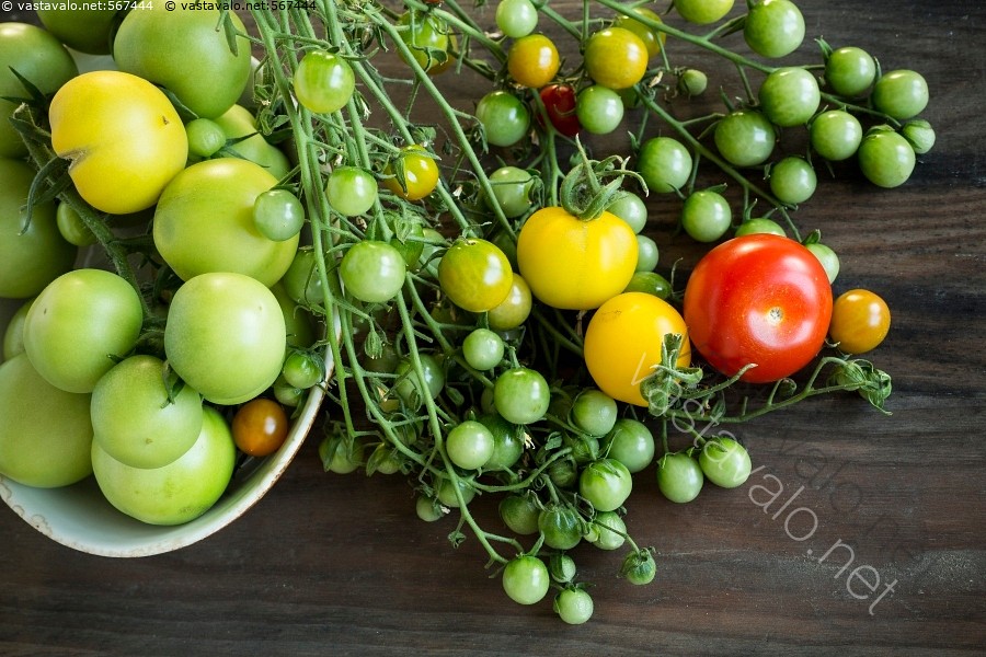 Kuva: Tomaatteja tarjolla - tomaatti tomaatit tomaatteja punainen ...