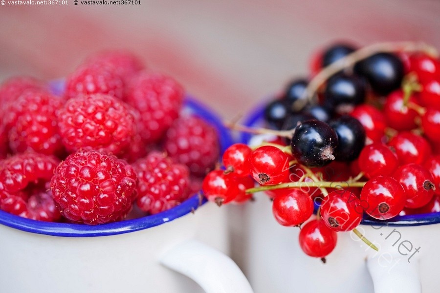 Kuva: Vadelmia ja viinimarjoja - vattu vatut vattuja viinimarja ...