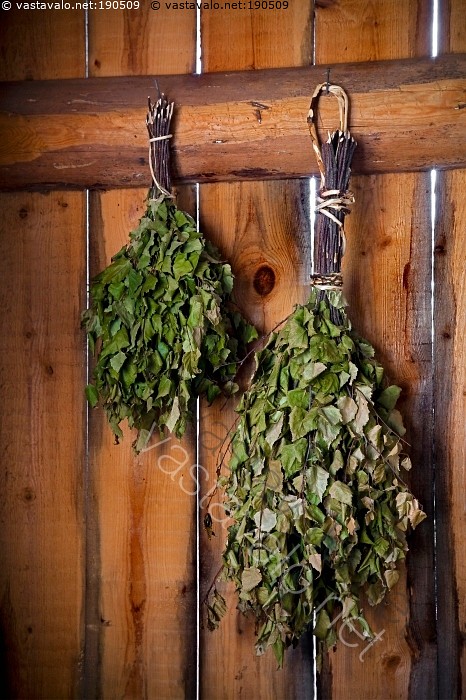 Kuva: Vasta ja vihta talveksi - kuiva kuivunut kuivattu vihta vasta ...