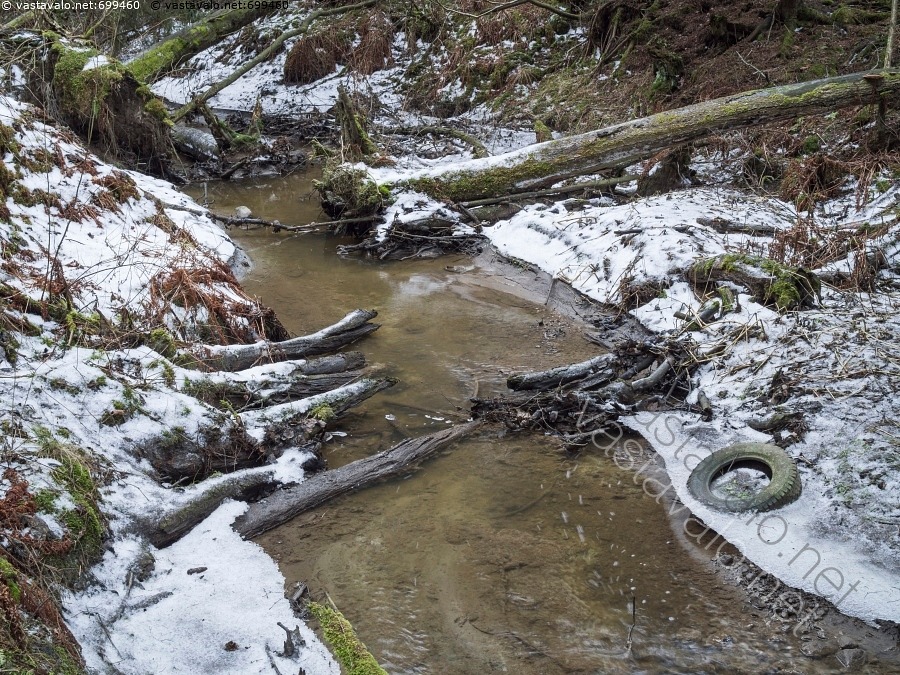 Kuva: Rengas Piipanojassa - oja uoma pieni kapea metsä metsäinen puu ...