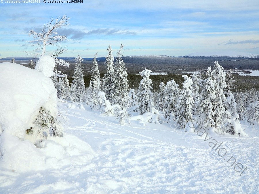 Kuva: Talvinen maisema Kuertunturilta - tunturi tunturit rinne paljakat ...