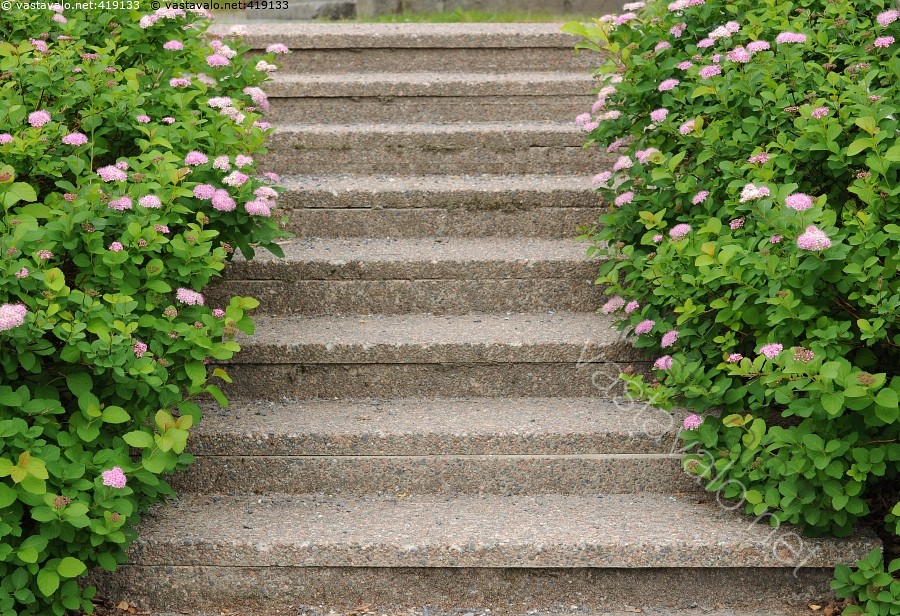 Kuva: Portaat kukkien keskellä - kiviportaat kiviset askelmat portaikko ...