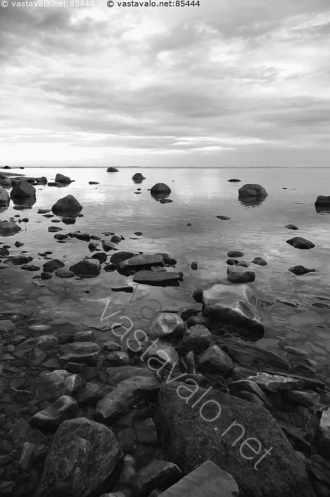 Kuva: Rantakivet - ranta rannikko kiviä rannalla kivet rantakivet kivi ...