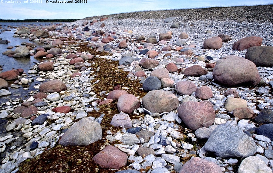 Kuva: Saarenmaan kalkkikivirannikkoa - viro Saarenmaa Eesti itämeri ...
