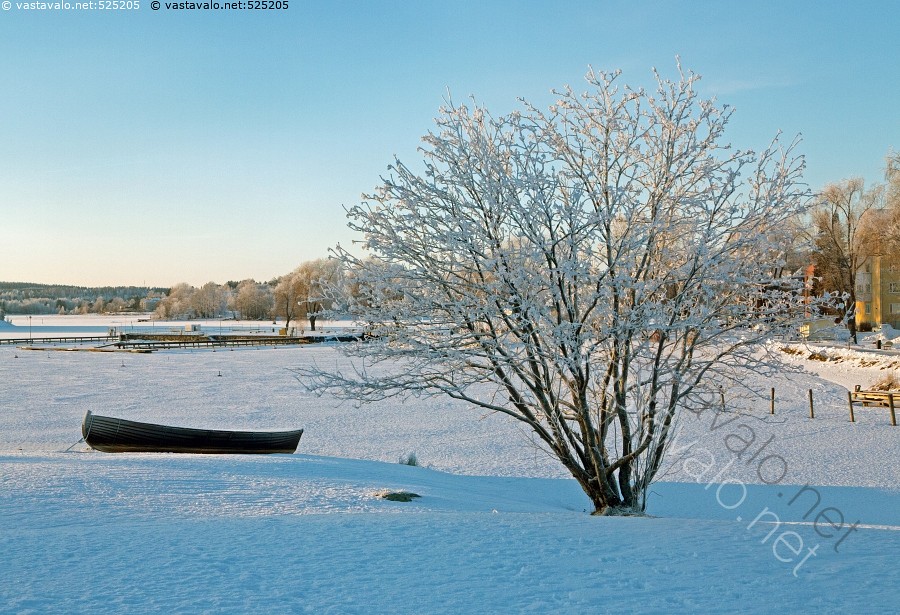 Kuva: Talvimaisema Riihisaaresta - talvinen talvi talvimaisema vene ...