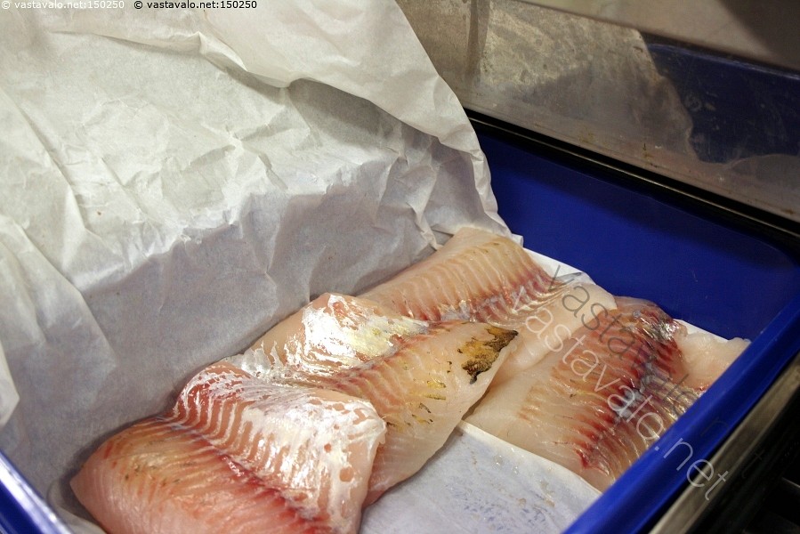 Kuva: Kuhafileet - kuha kala filee file perattu valmis pannuvalmis ...