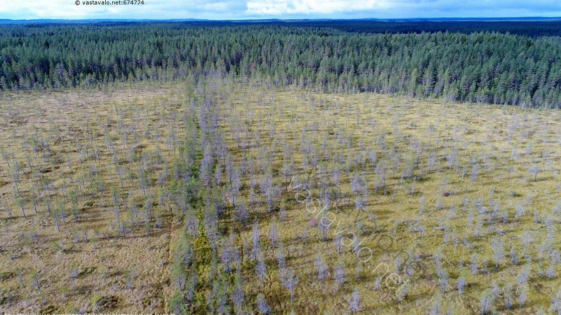 Kuva: Suo-oja 5 - ilmakuva ilmavalokuva suo-oja suo oja vesi ojitus ...