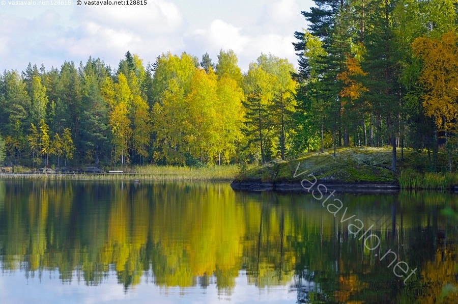 Kuva: Kallioniemi ja ruska - ruska syysruska ruskainen värikäs maisema ...