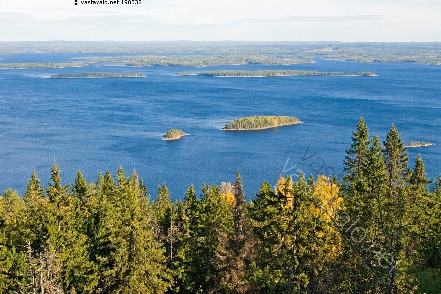 Kuva: Saarinen Pielinen - järvi järvet Pielinen saari saaret Koli Ukko ...