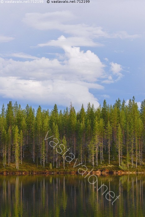 Kuva: Kesäinen Hossa - Hossa kansallispuisto vesi järvi mänty puu pilvi ...