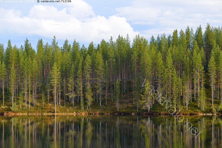 Kuva: Hossan maisemia - Hossa kansallispuisto vesi järvi mänty puu ...