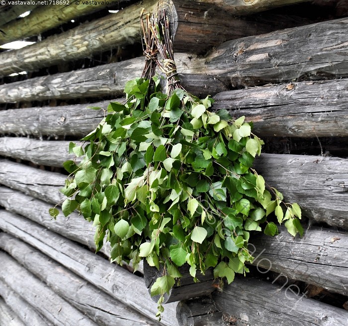 Kuva: Valmiit saunaan - vihta vasta saunavihta saunavasta tuore tuoreet ...