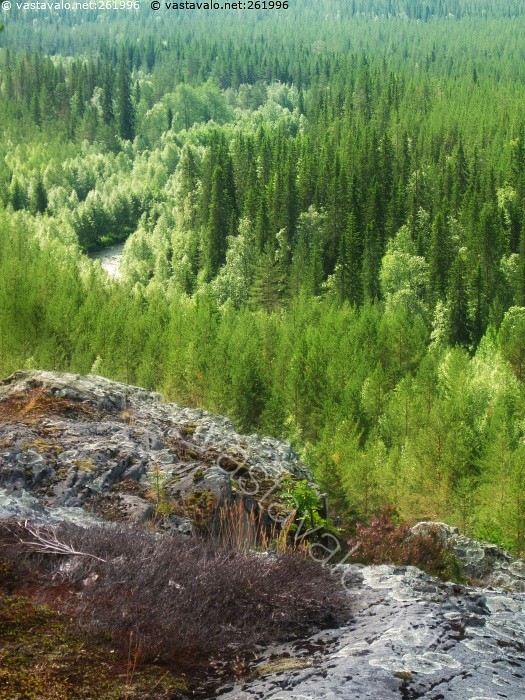 Kuva: Kesäinen näkymä vaaralta - Vaara maisema kallio kalliot jäkälä ...