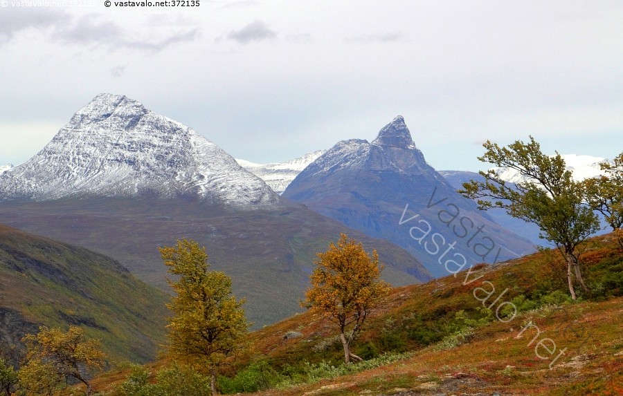 Kuva: Paraksen rinteellä 2 - Paras Parastunturi Barras Vassdalstinden ...
