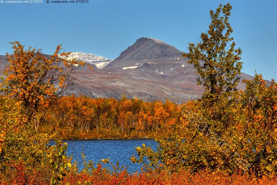 Kuva: Ruskaa rajalla 2 - Lappi tunturi ruska syksy järvi ranta koivu ...