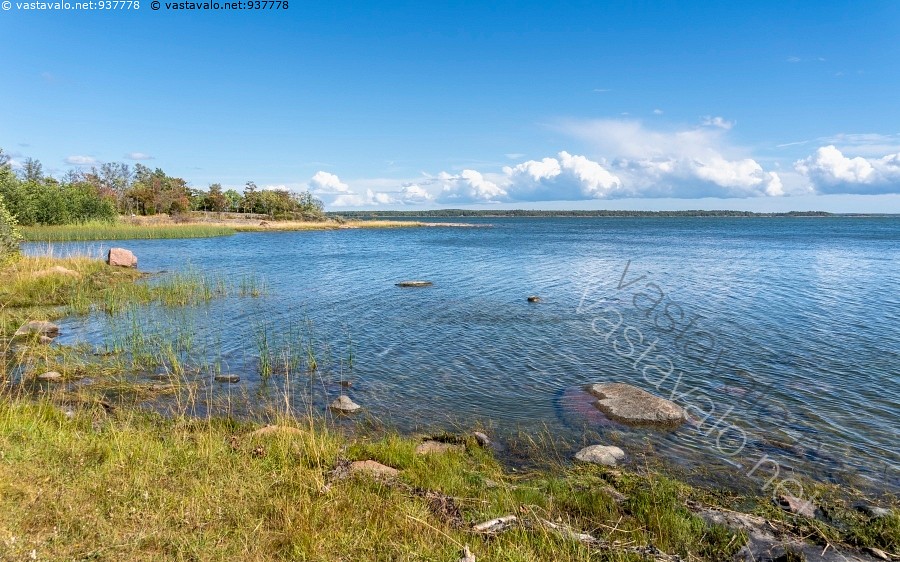 Kuva: Merenrantaa luontopolun äärellä - merenranta ranta meri vesi kesä ...