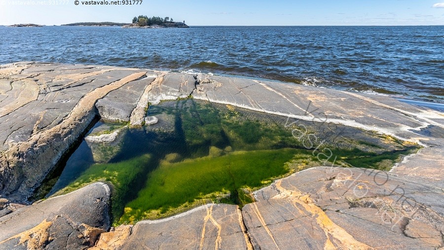 Kuva: Leväinen kalliolammikko - Itämeri Suomenlahti kalliolammikko ...