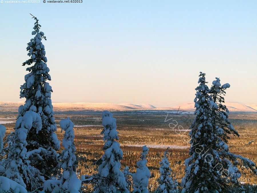 Kuva: Metsä-Lappi - Levi Levitunturi tunturi maisema tunturimaisema ...
