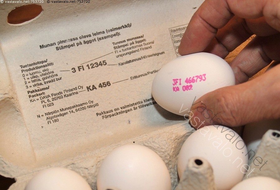 Kuva: Kananmunan merkinnät - kananmuna leima merkintä koodi muna munat ...