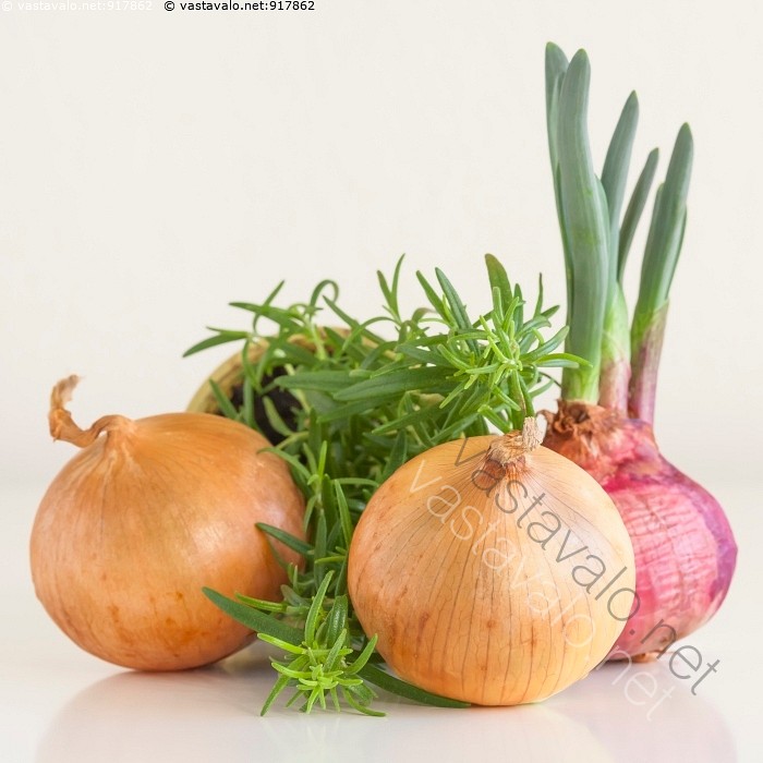 Kuva: Sipuliasetelma - sipuli Allium cepa keltasipuli ruokasipuli ...
