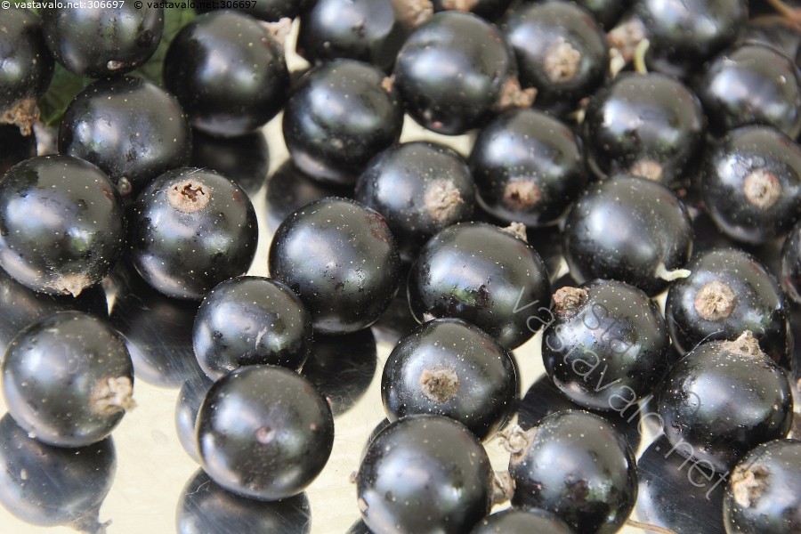 Kuva: Vitamiinipommit - mustaviinimarja mustaherukka terveellinen ...