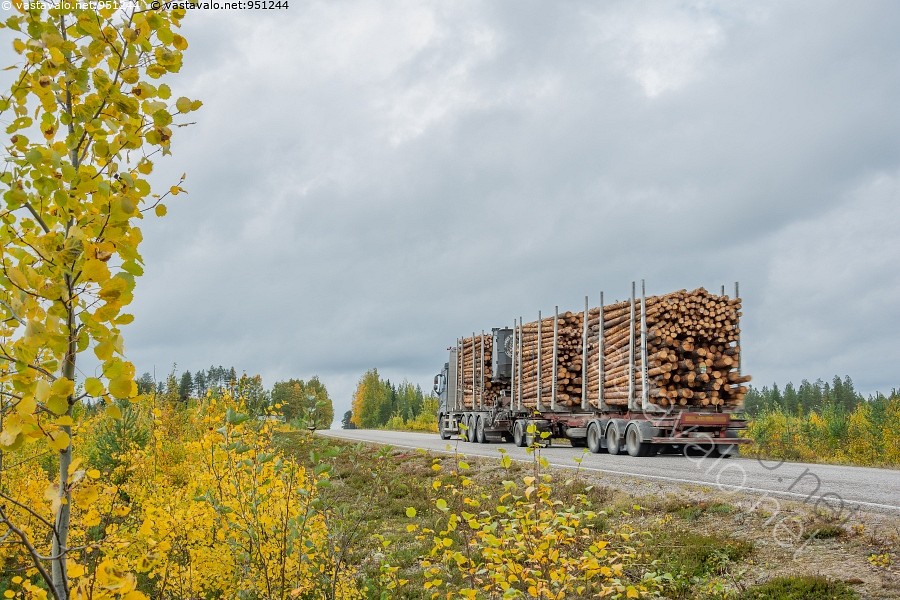 Kuva: Puu kulkee - puutavara-auto rekka-auto tukkirekka rekka auto ...