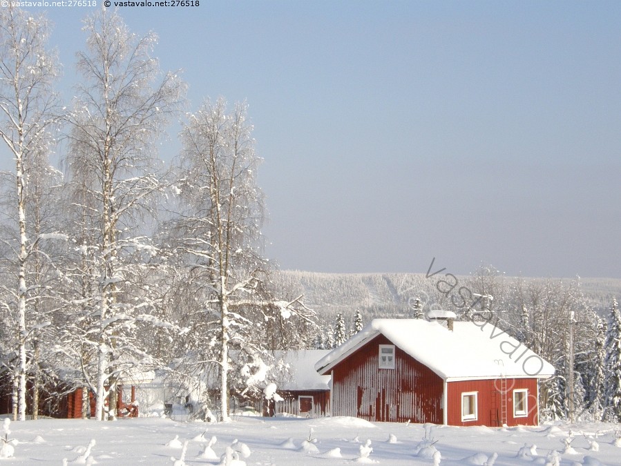 Kuva: Pihakoivut - rakennus rakennukset talo asuintalo punainen piha ...