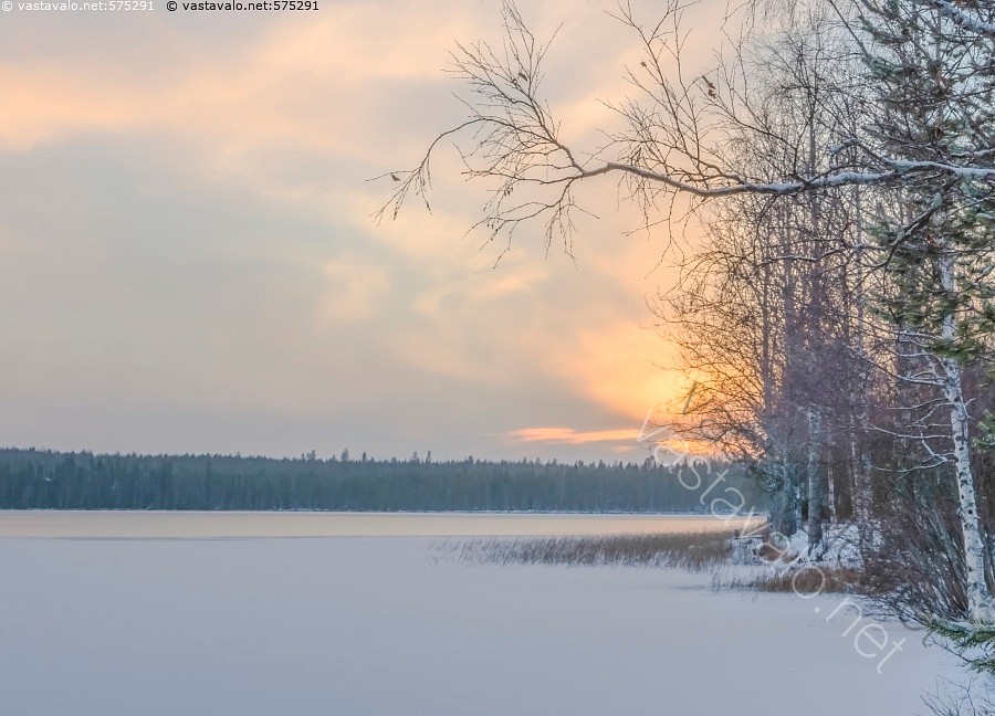 Kuva: Marraskuisen talvipäivän ilta - auringonlasku auringonvalo hämärä ...