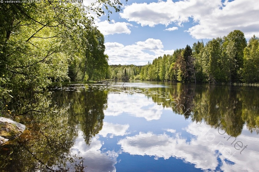 Kuva: Jokimaisema - maisema jokimaisema vesi vettä joki kesä kesäinen ...