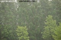 Kuva: Rankkasade - sade vesisade sadekuuro rankkasade voimakas runsas ...